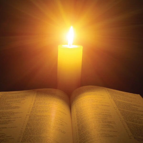 Tina Mae Key - Meadowlawn Funeral Home